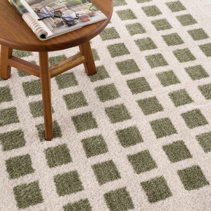 Baback Green Washable Area Rug – Boutique Rugs
