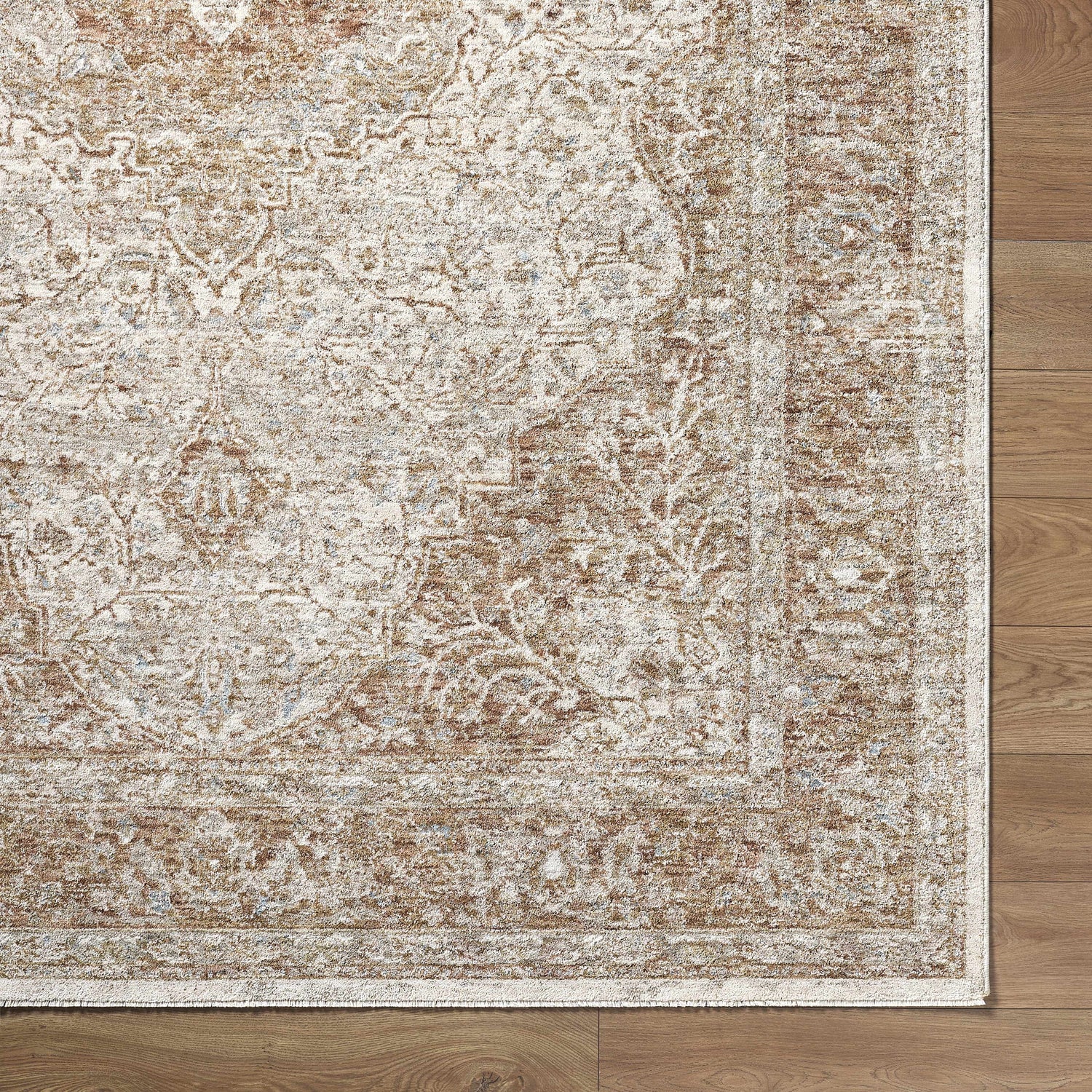 Charae Area Rug – Boutique Rugs