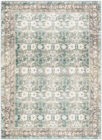 New Rugs | New Arrival Area Rugs – Boutique Rugs