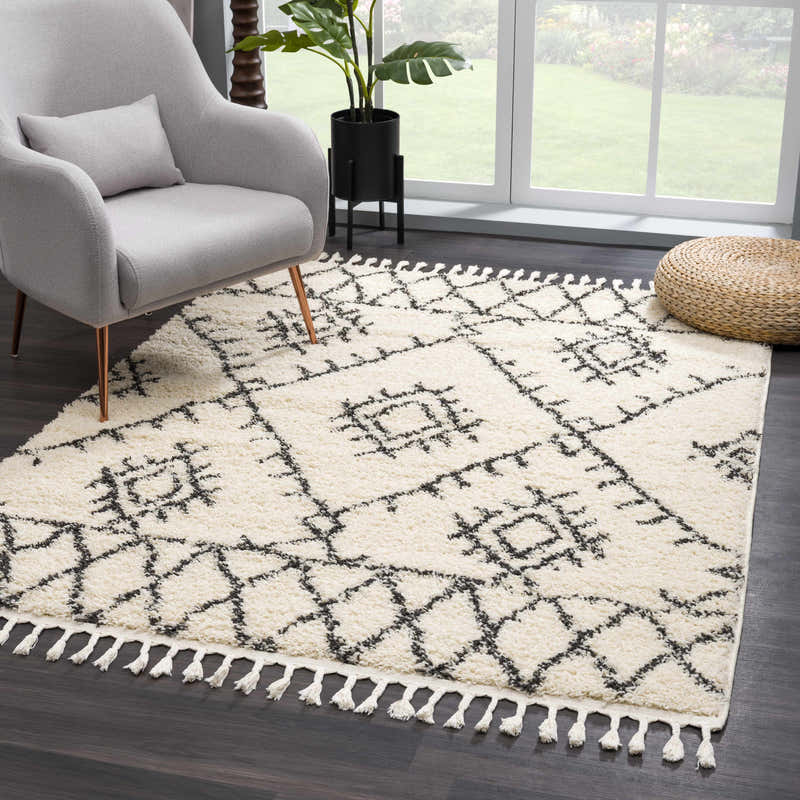Emlenton Berber Shag with Tassels - Clearance – Boutique Rugs