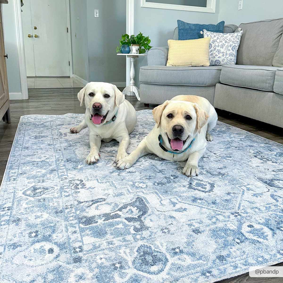 Ankti Blue Washable Area Rug