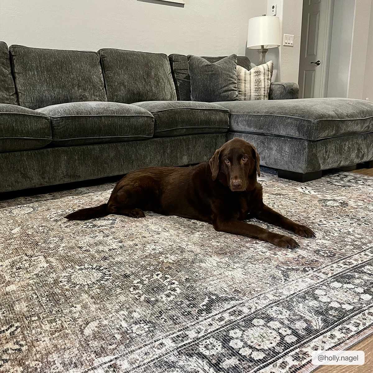 Brown Rugs | Brown Round Rugs & Runners | Boutique Rugs