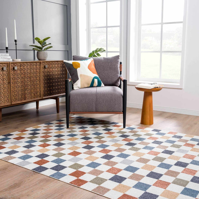 Alie Colorful Checkered Washable Rug – Boutique Rugs