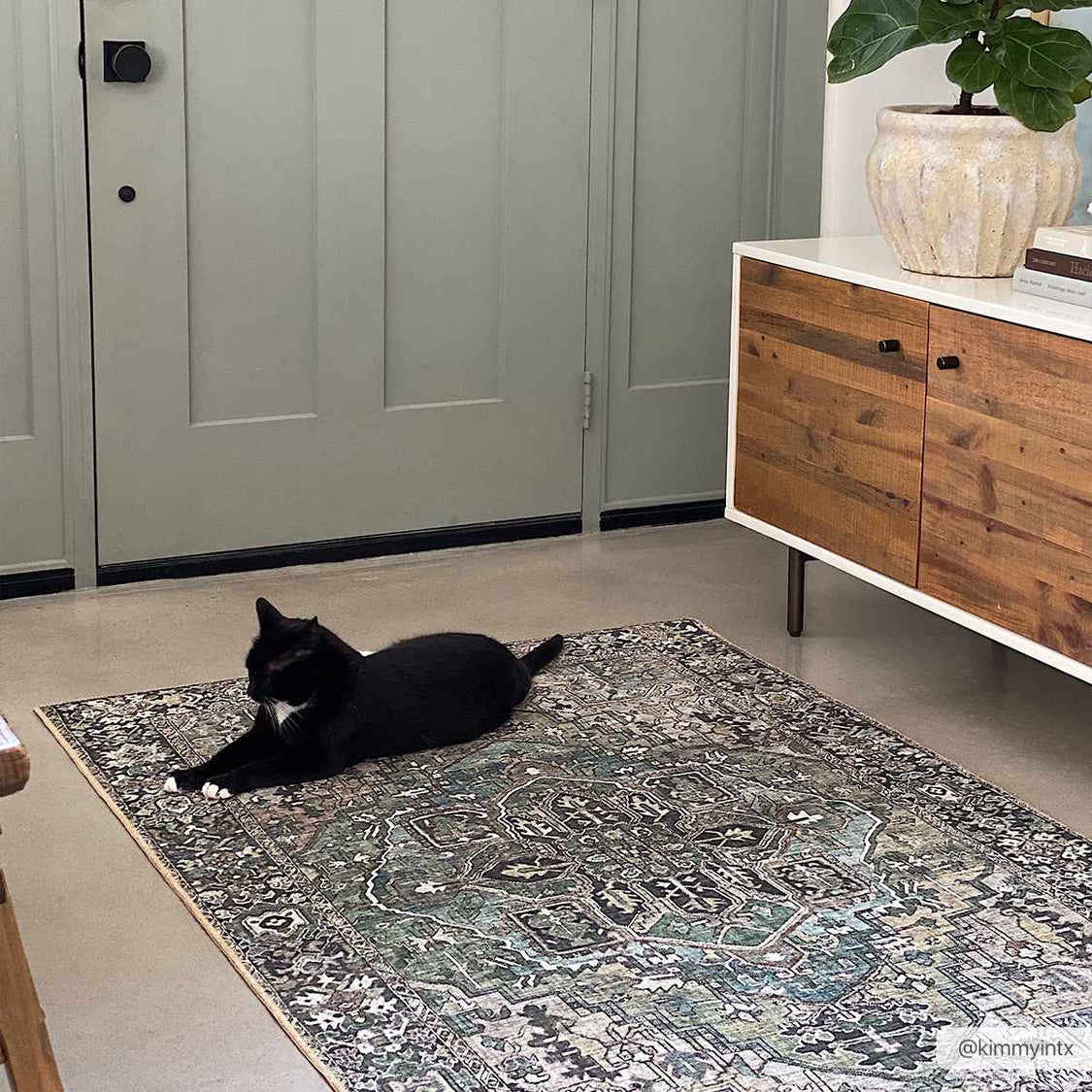 Olive Green Rugs | Olive Green Area Rugs & Runner – Boutique Rugs