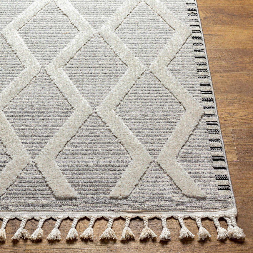Bolong High/Low Pile Rug with Tassels - Clearance – Boutique Rugs