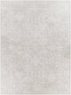 Canaseraga Area Rug - Clearance – Boutique Rugs