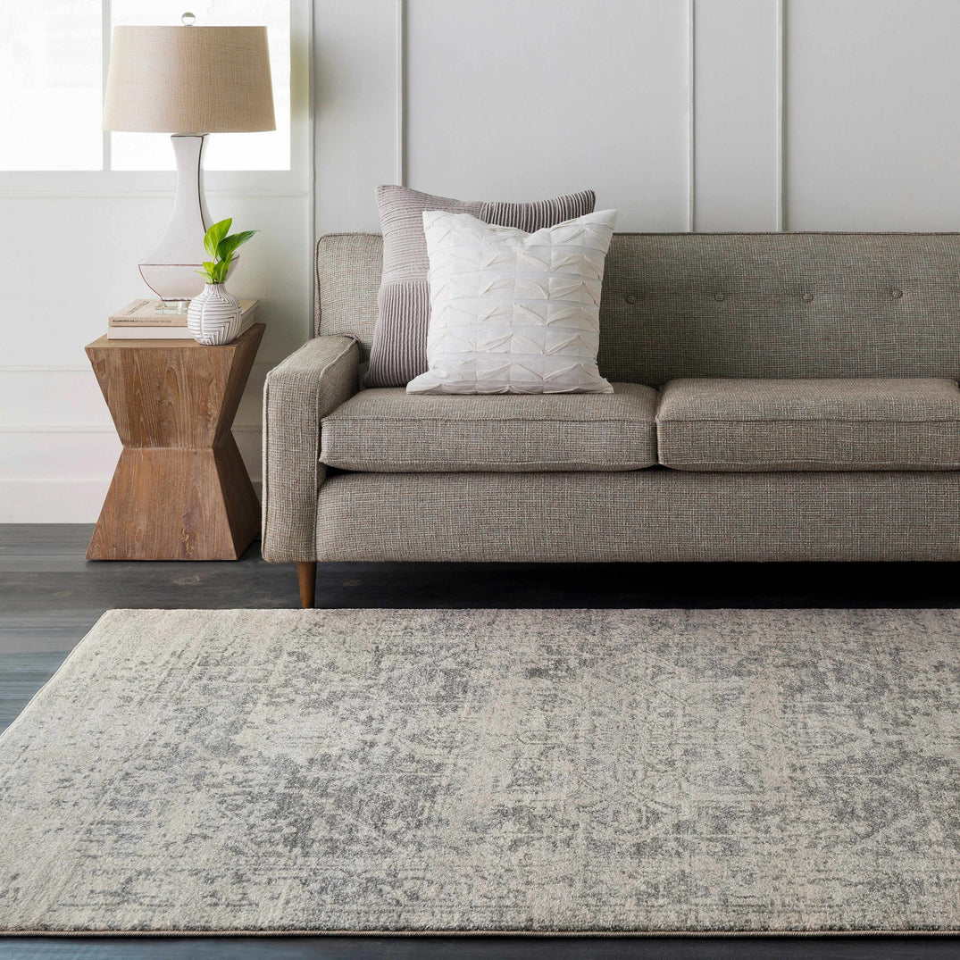 Rachel Area Rug - Beige/Gray Distressed Traditional Rug and Runner ...