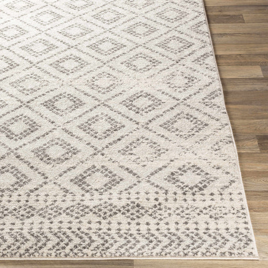 Romeoville Trellis Rug - Clearance – Boutique Rugs