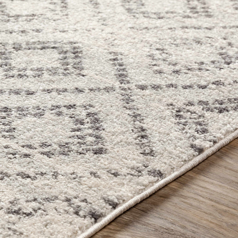 Romeoville Trellis Rug - Clearance – Boutique Rugs