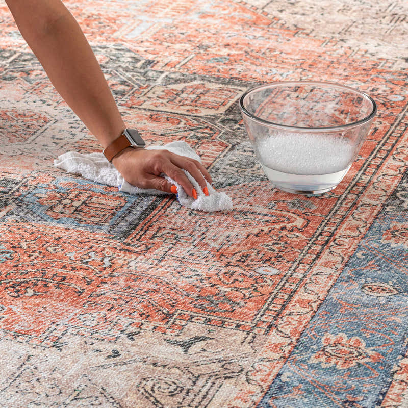 Rosman Distressed Washable Area Rug – Boutique Rugs
