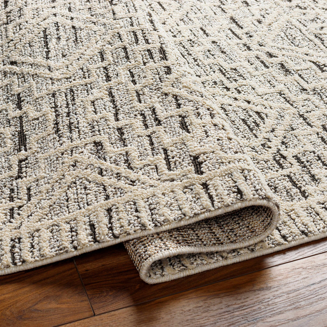 Chrishauna Area Rug - Clearance – Boutique Rugs
