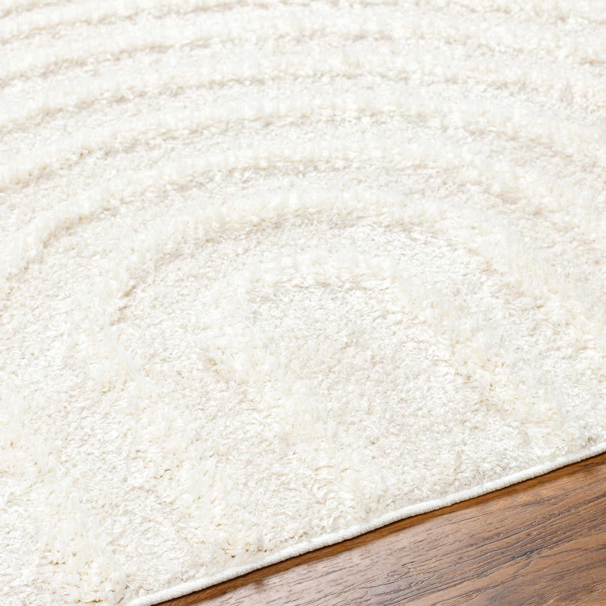 Arnel Cream Area Rug – Boutique Rugs