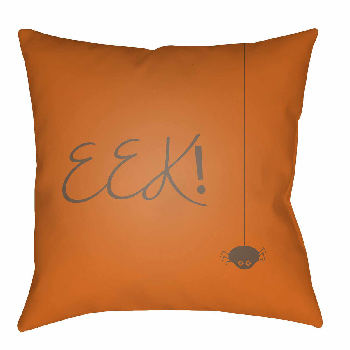 Halloween Eek Print Orange Outdoor Pillow – Boutique Rugs