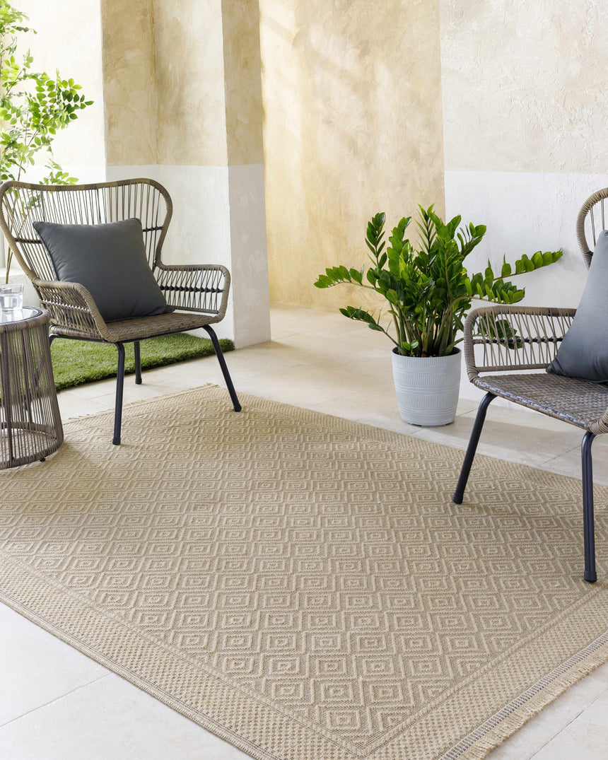 Veata Washable Jute Area Rug – Boutique Rugs