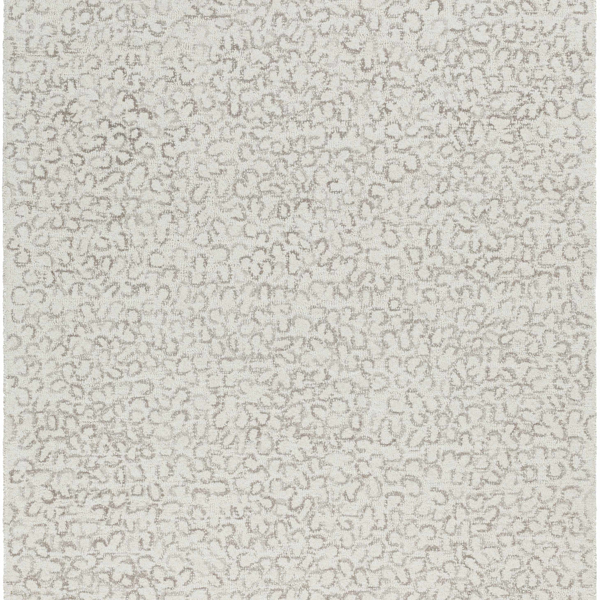 Zayit Area Rug - Clearance – Boutique Rugs